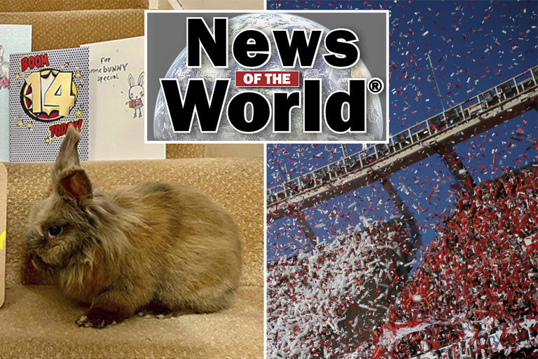 News of the world: What you missed this week internationally