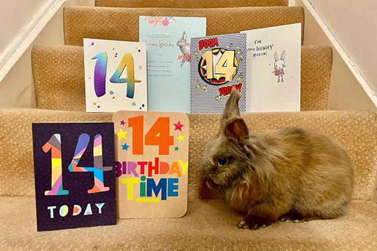 News of the world: What you missed this week internationally