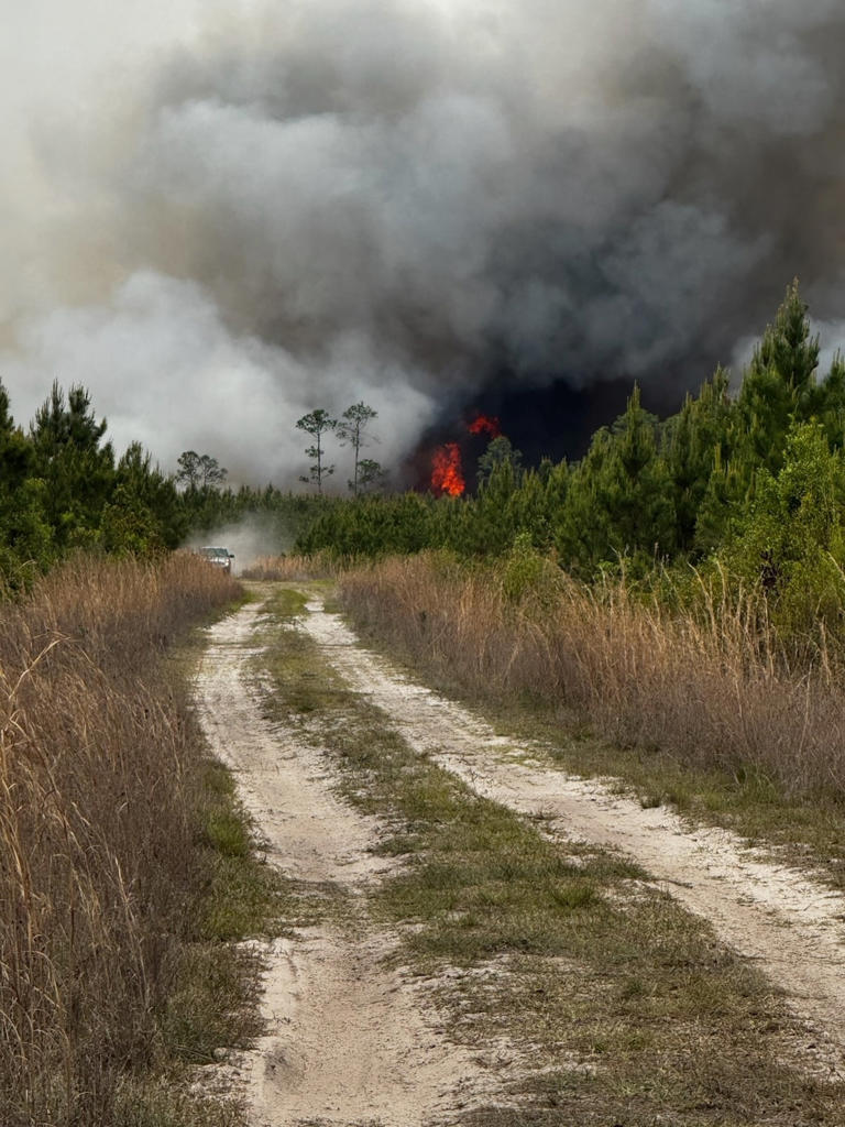 Georgia loses most homes in state’s history to wildfires in Brantley ...