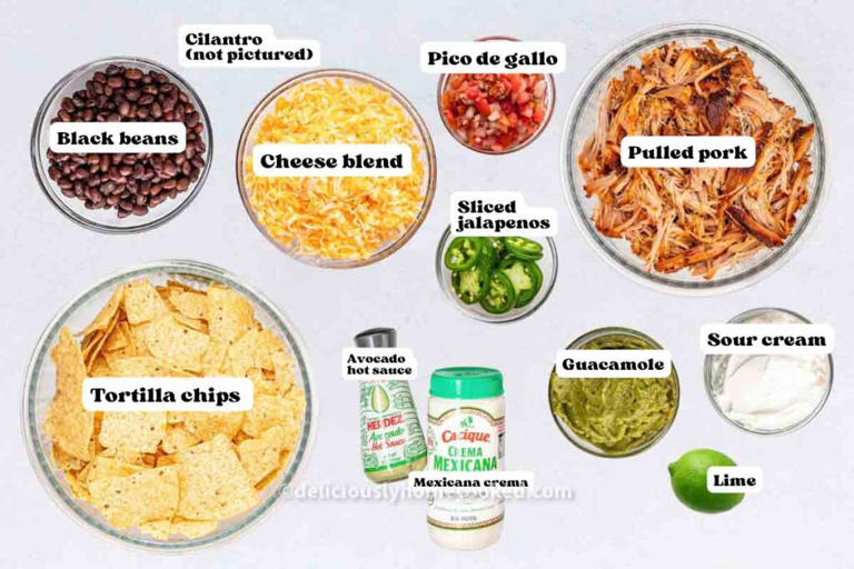 Pulled pork nachos