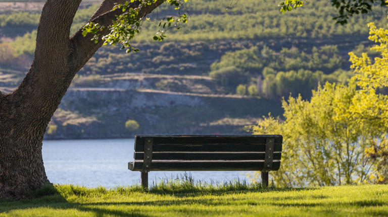 Washington's underrated state park on the Columbia River is an emerald ...