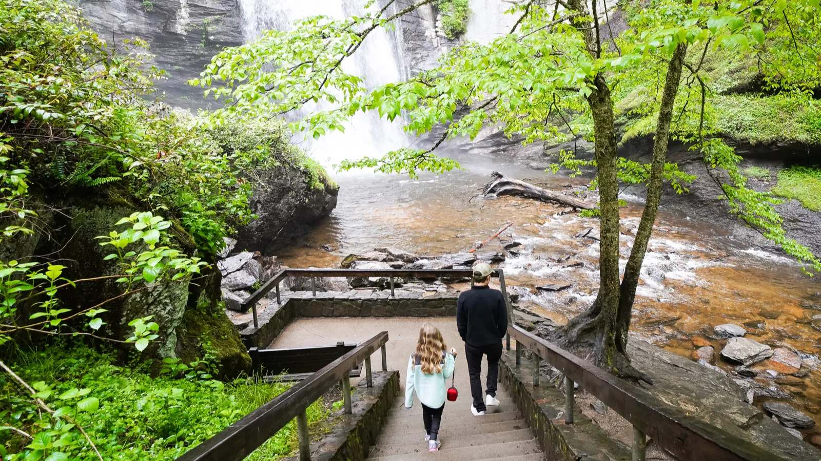 North Carolina’s largest national forest has a waterfall around every ...