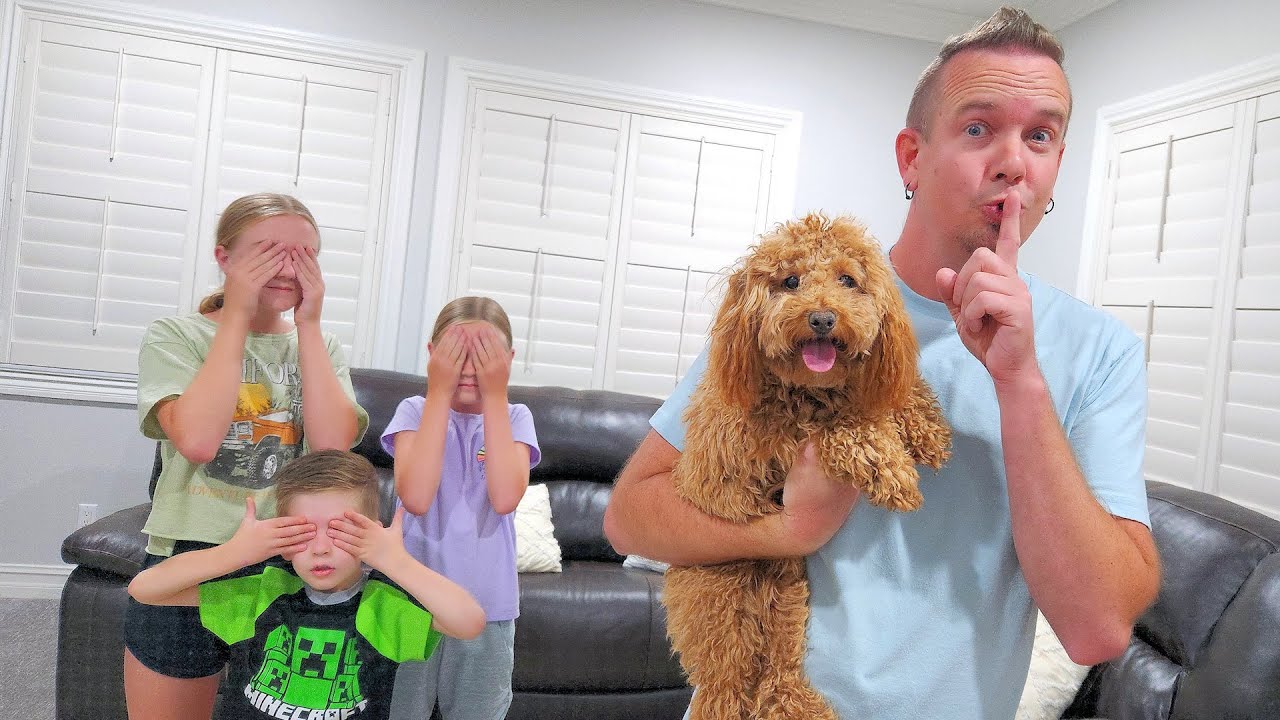We surprised our kids with a puppy!🐶