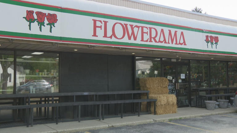 Local floral shop reopens after car crashes into building