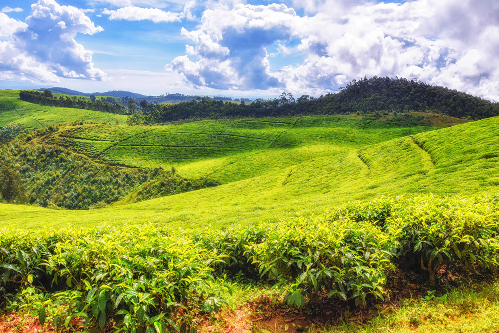 13 reasons Rwanda should be on your bucket list
