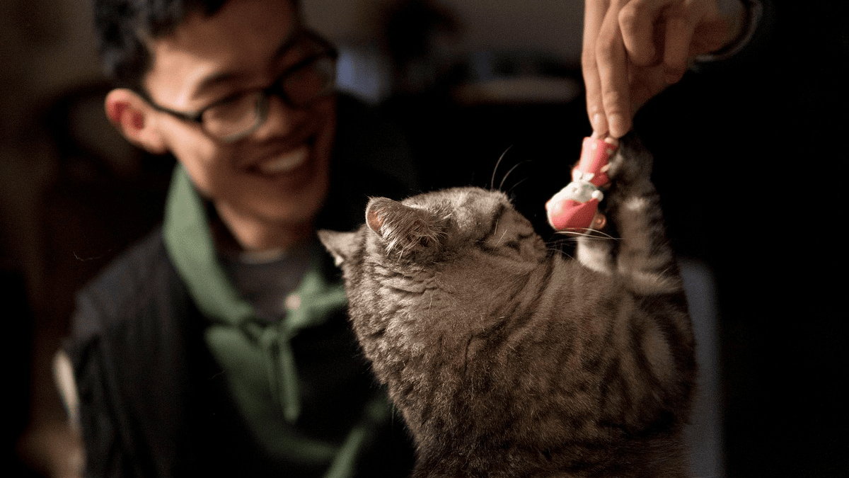 Cats use different sounds depending on whether you are male or female