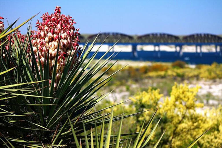 Best outdoor activities in Del Rio, TX