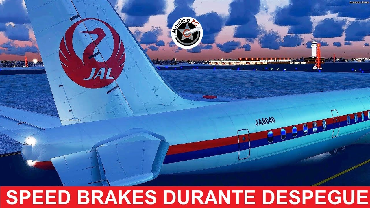 Inside the Japan Airlines 446 incident