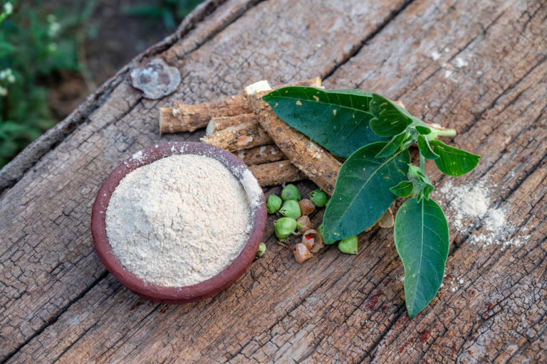 What is ibogaine? FDA to fast-track review of drugs for mental health