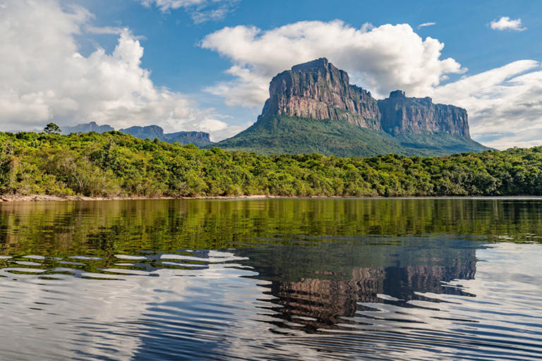 Venezuela launches new e-visa for Americans after US drops level 4 ...
