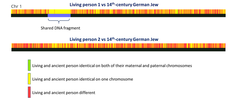 DNA says you’re related to a Viking, a medieval German Jew or a 1700s ...