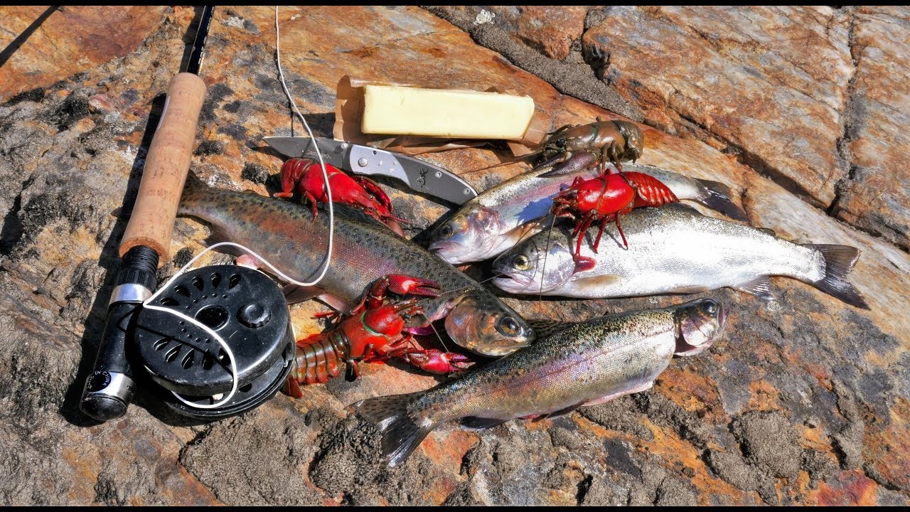 Catch and cook and camp ep. 4 wild trout, wild bass, wild crayfish