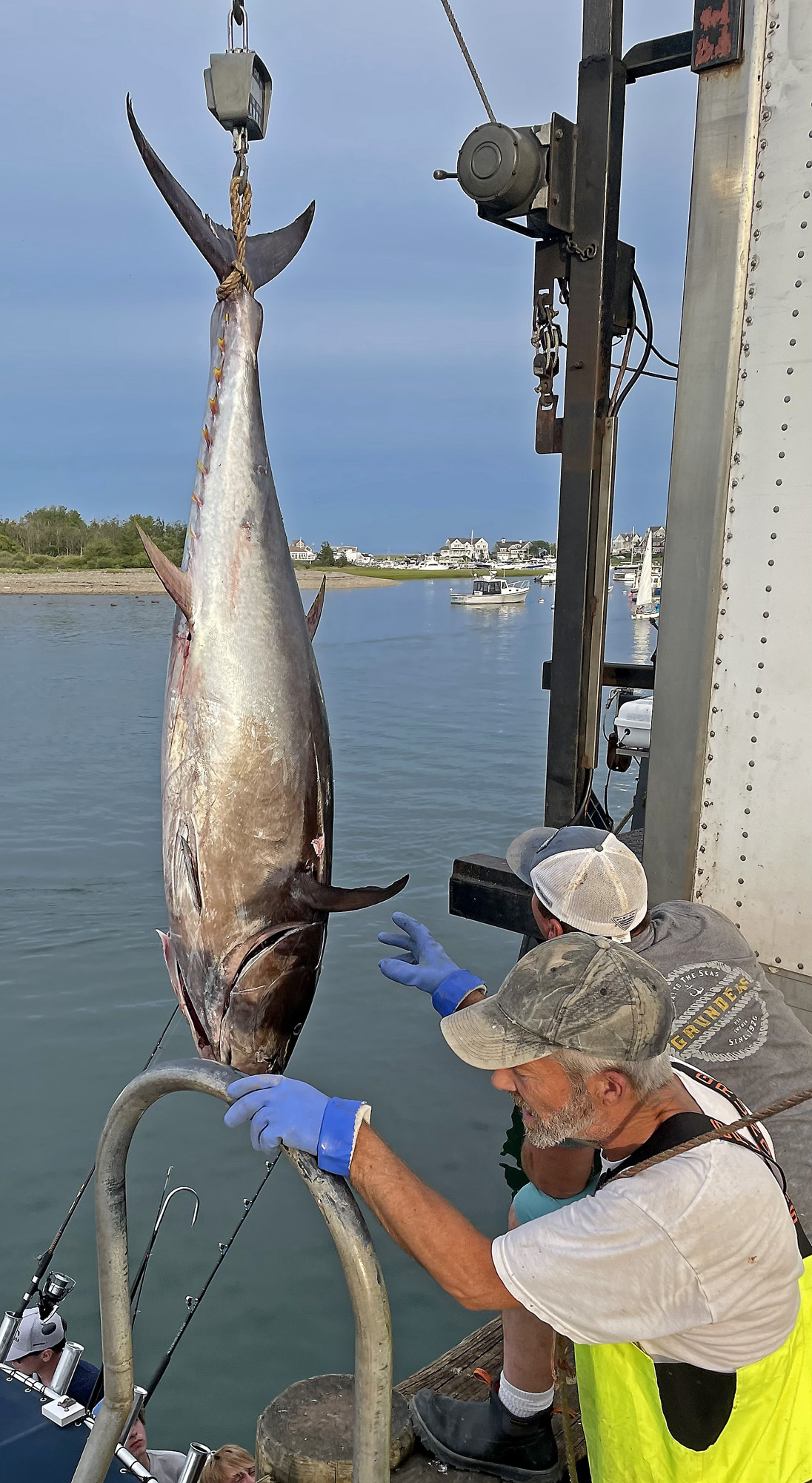 Massachusetts fishing group blasts Beacon Hill for 'violation of public ...