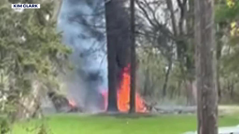 North Dakota Rep. Liz Conmy dies in Brooklyn Park plane crash near ...