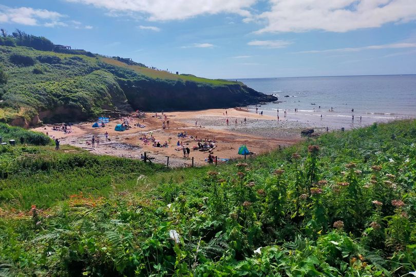 Plymouth's beach bus is back - get your flip flops at the ready