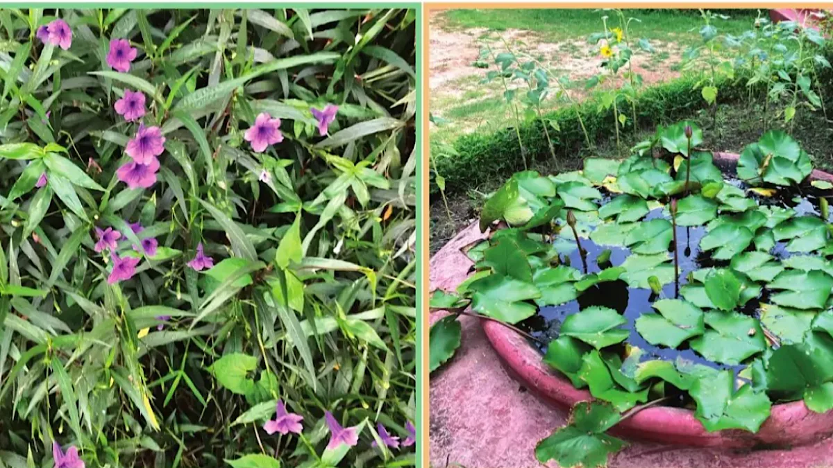 Bitter battle for a sweet state