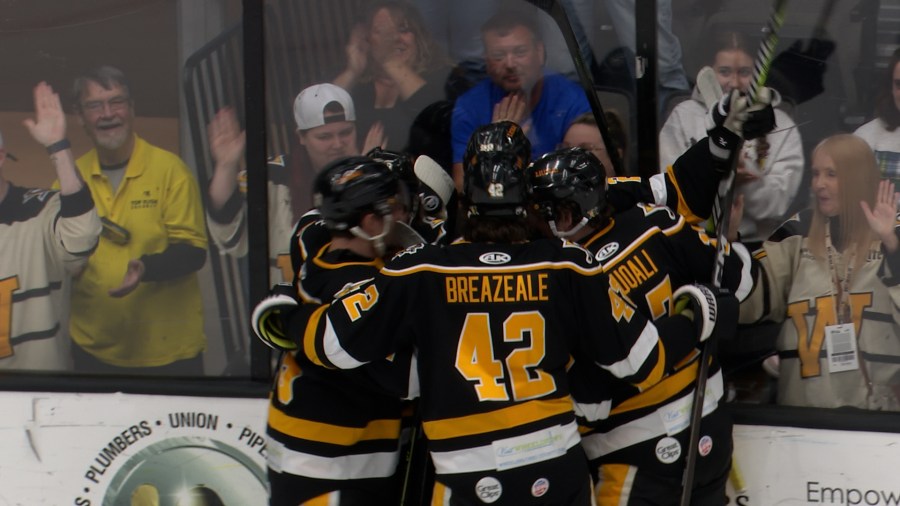 Wheeling Nailers take game two in playoff series over the Reading Royals