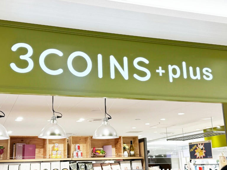 これ【3COINS】で買えるんだ? 普段使いにぴったりな「大きめトートバッグ」