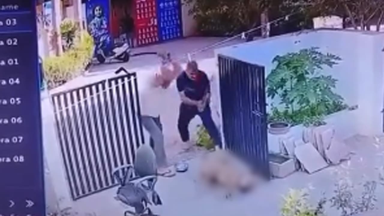 Gujarat SHOCER! 2 Men Mercilessly Thrash Tied Dog With Sticks In Rajkot ...