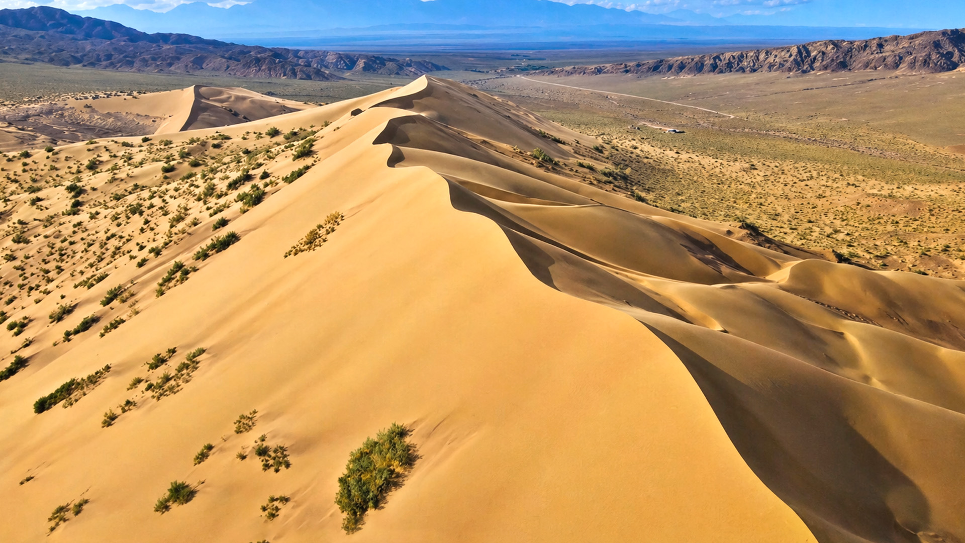 Massive sand dunes forming perfect waves in the desert