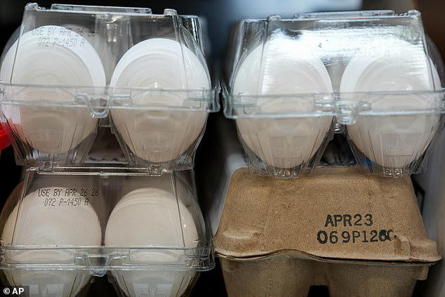 Scientists say eating eggs just twice a week cuts Alzheimer's risks by ...