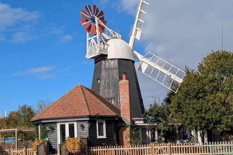 Rare opportunity to see historic Cambridgeshire mill and meet alpacas