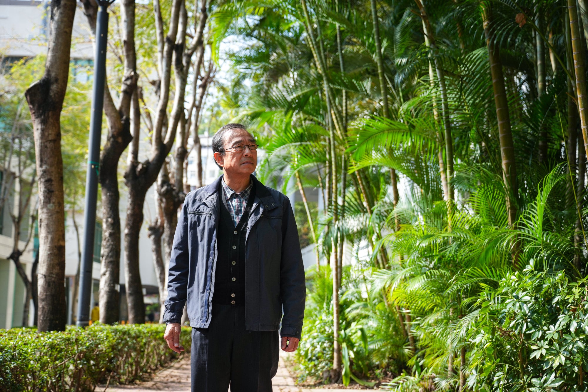 Some Hong Kong trees are behaving strangely and botanists want to know why