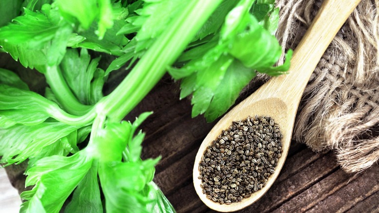 What can you use celery seeds for?
