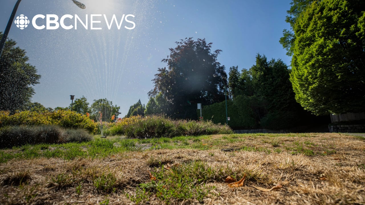 Metro Vancouver to ban lawn watering amid early Stage 2 water restrictions
