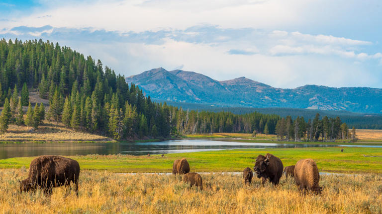 What The 3 Best US States To Retire In 2026 All Have In Common