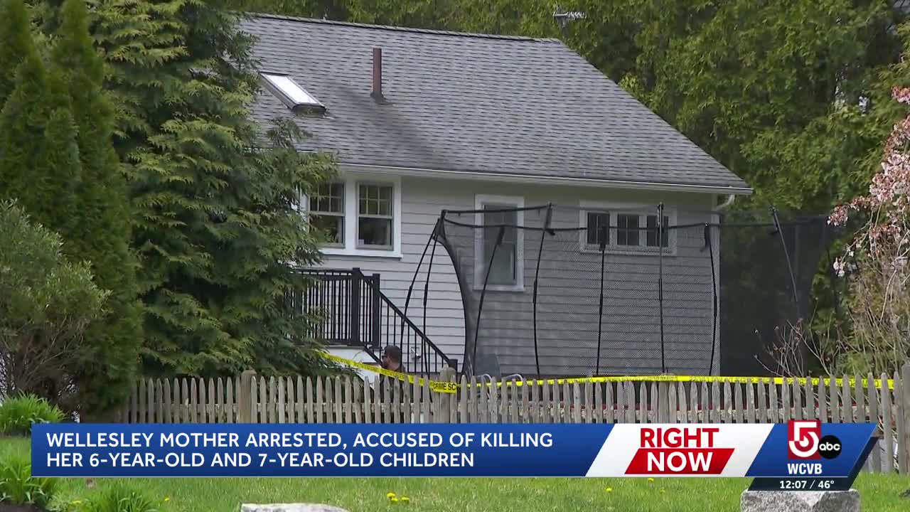 Mother arrested, facing 2 counts of murder after children found dead in ...
