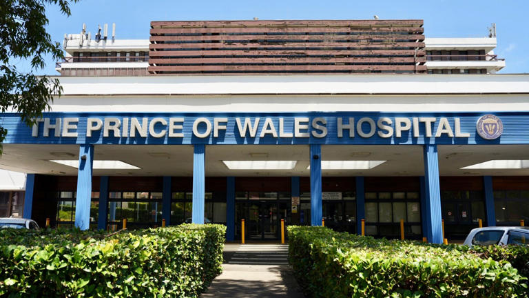 Man in custody after allegedly assaulting several people including ...