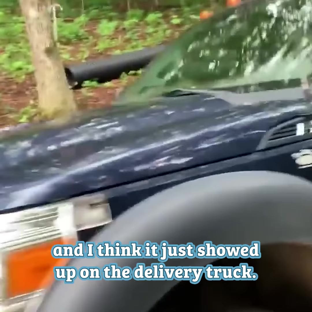 Unboxing a dream hammer
