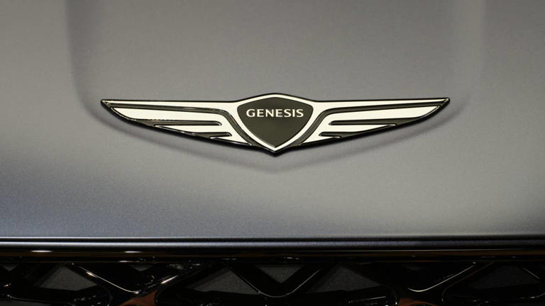 Hyundai hit with lawsuit after EVs report sudden power loss linked to ...