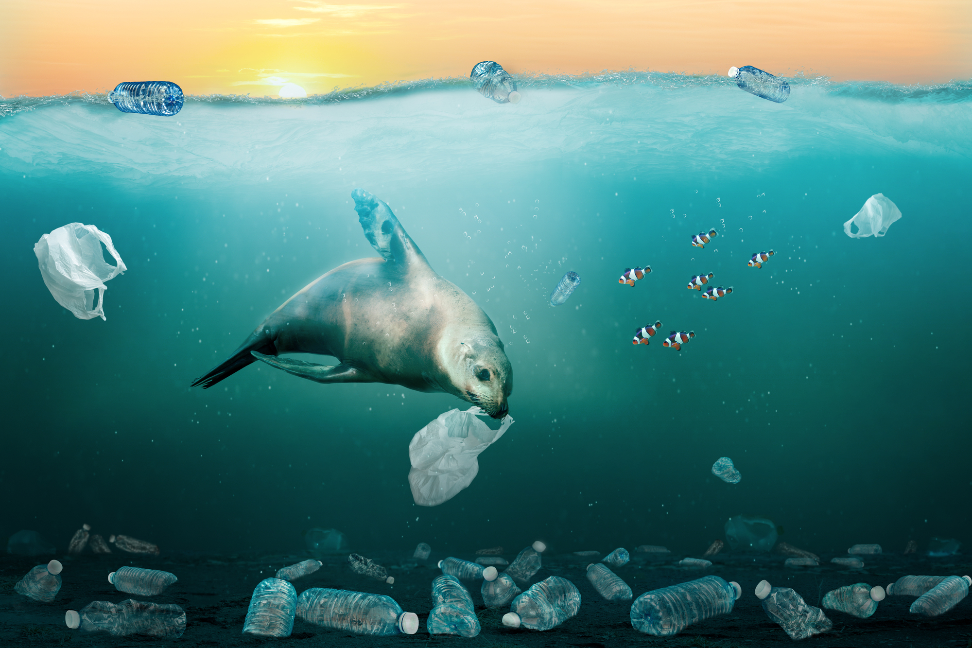 10 strange things that have been found in the deepest parts of the ocean