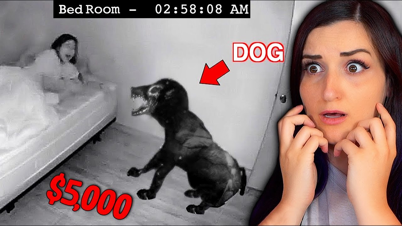 I bought a dog off the dark web! 😱
