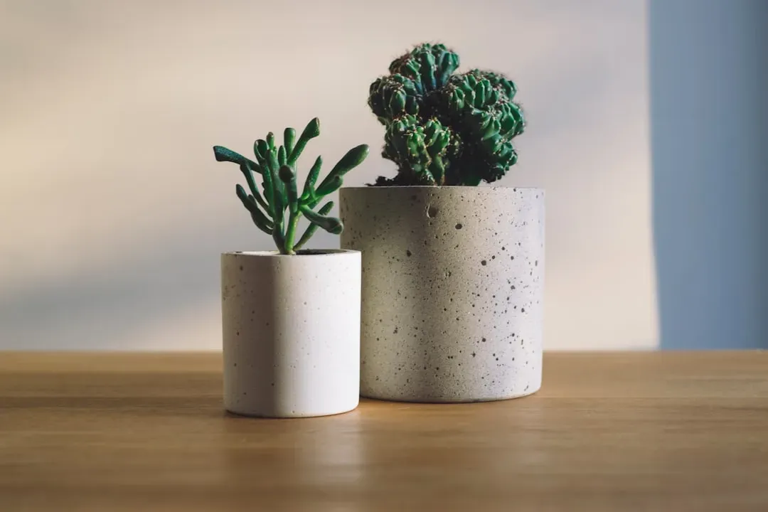 9 indestructible decor pieces that still look good no matter what you do