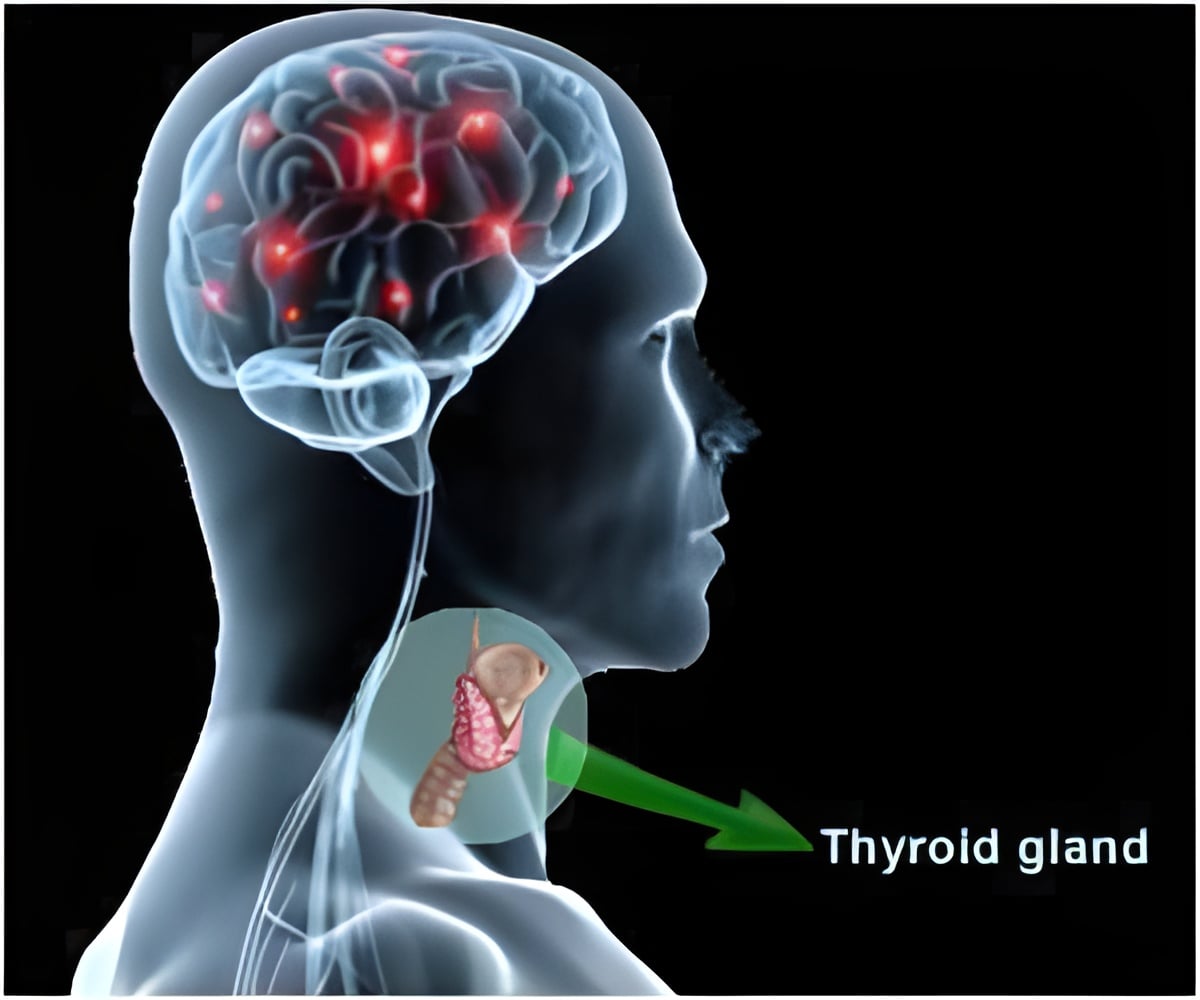 World Hormone Day 2026: Tuning the symphony of endocrine wellbeing