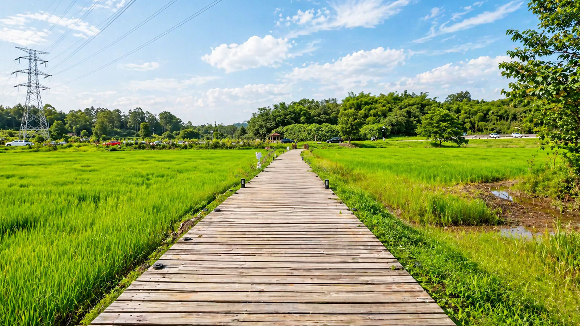 Ce long chemin en bois paraît simple, mais mène quelque part d'intéressant