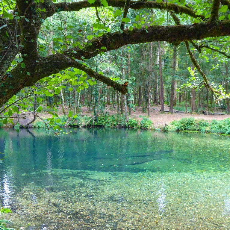 Portugal esconde uma lagoa azul (quase) secreta que muitos confundem ...