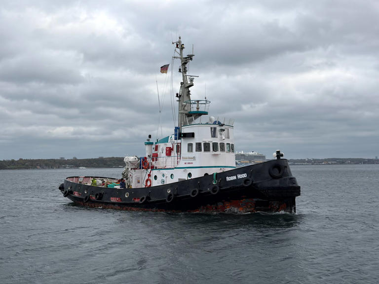 Wal-Bergung: Schlepper wartet in Kiel auf Barge