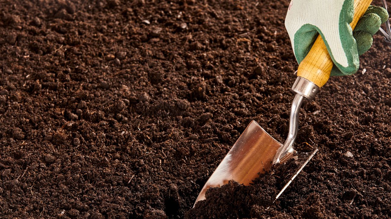 Stop buying the wrong dirt: The difference between topsoil and garden soil