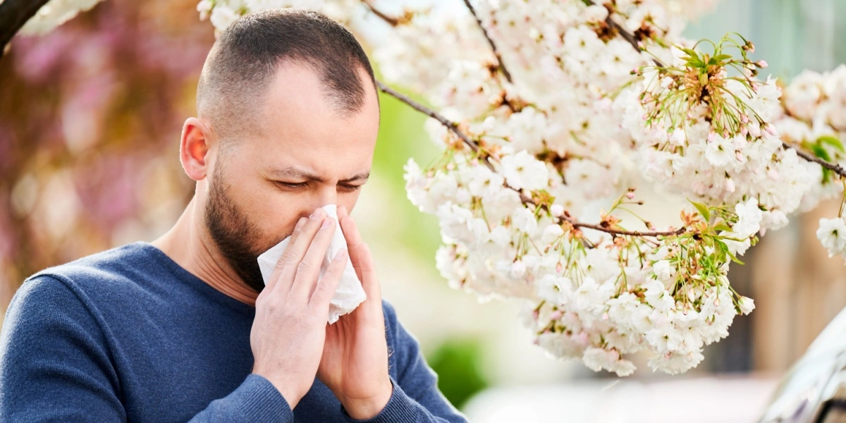 Europe’s allergy seasons stretch longer as climate shifts intensify ...