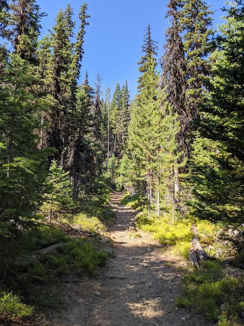 This mountain loop in Oregon takes you past waterfalls and high-country ...