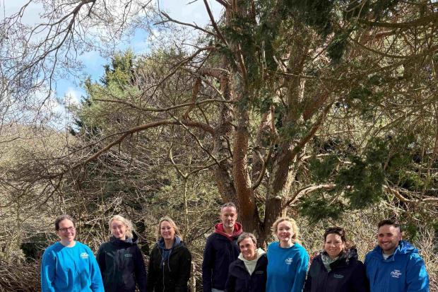 Holiday letting teams spend day volunteering at seal sanctuary