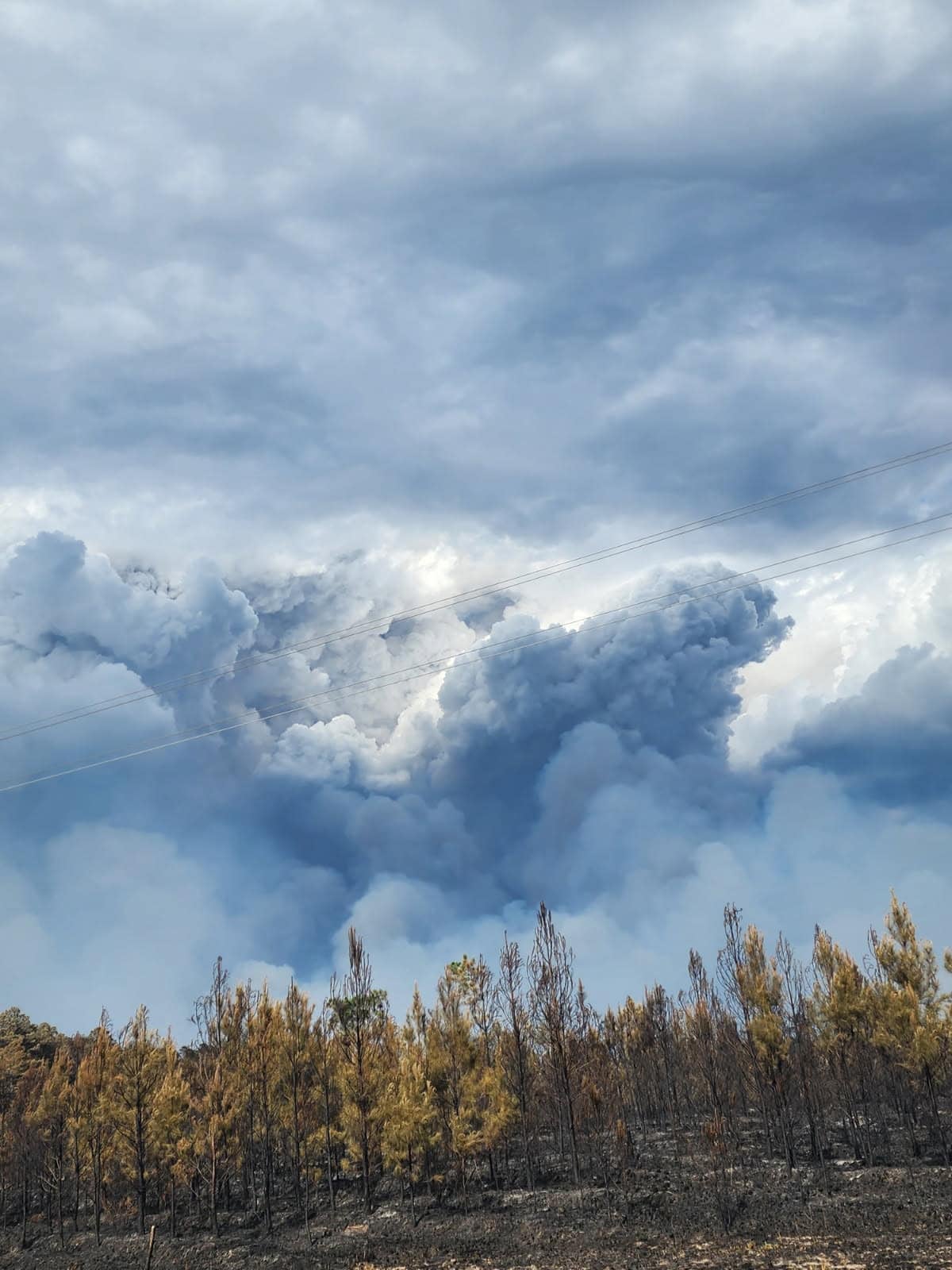 Live updates: Brantley County fire expands, evacuations still in place