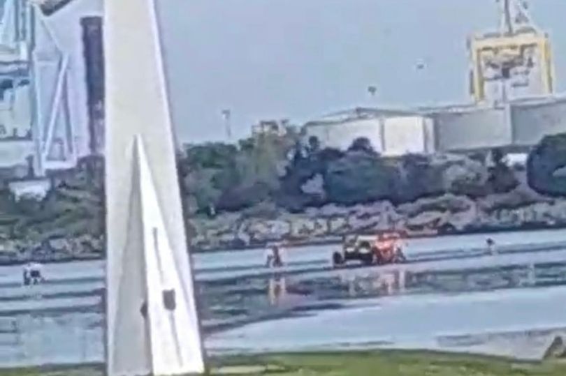 Dolphin sadly dies after being rescued from Dublin beach