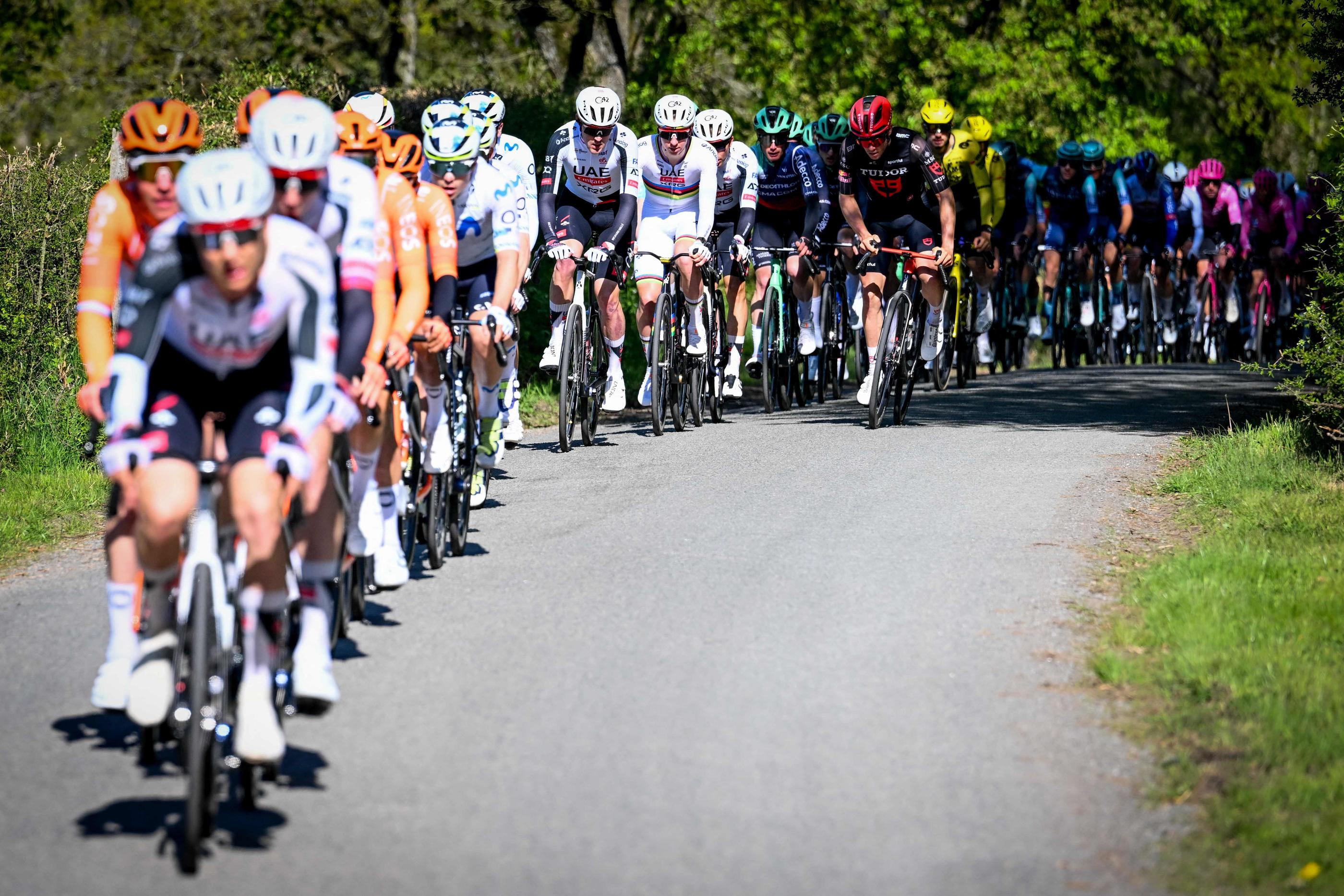 Liège-Bastogne-Liège : Pogacar et Seixas à quatre minutes d’Evenepoel ...