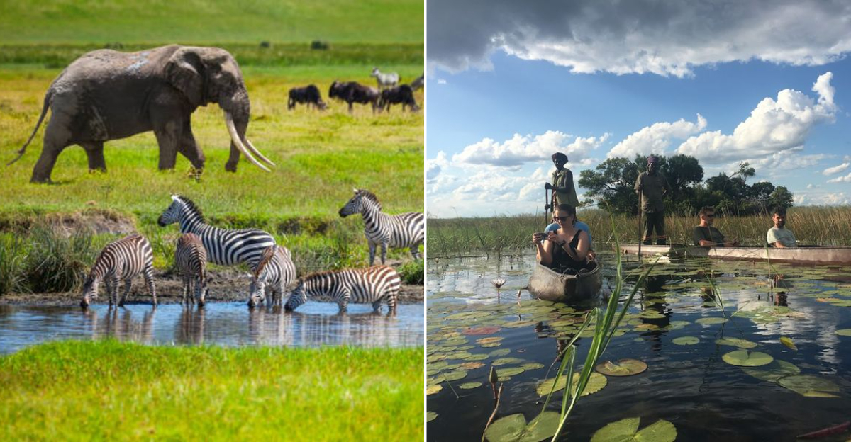 13 best things to do in Africa that show more than the usual travel picture