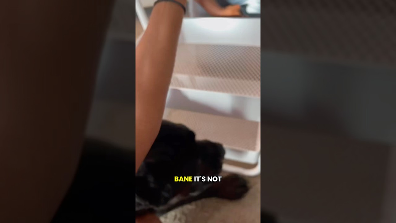 Guess how long it took to put this together